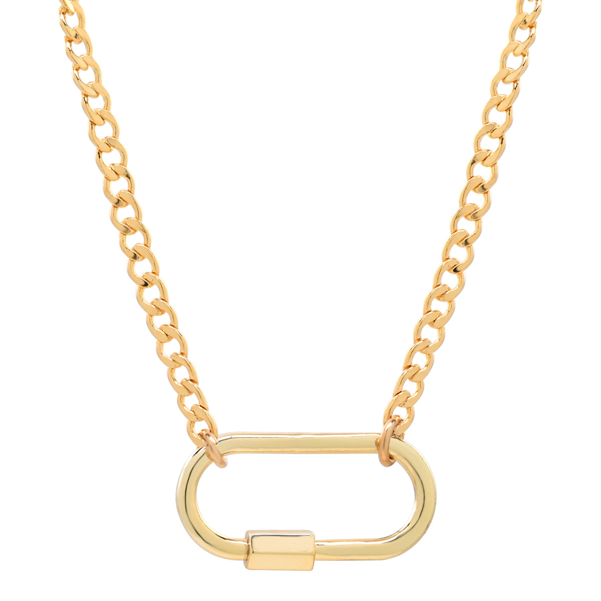 Curb Chain Carabiner Necklace – Azil Boutique